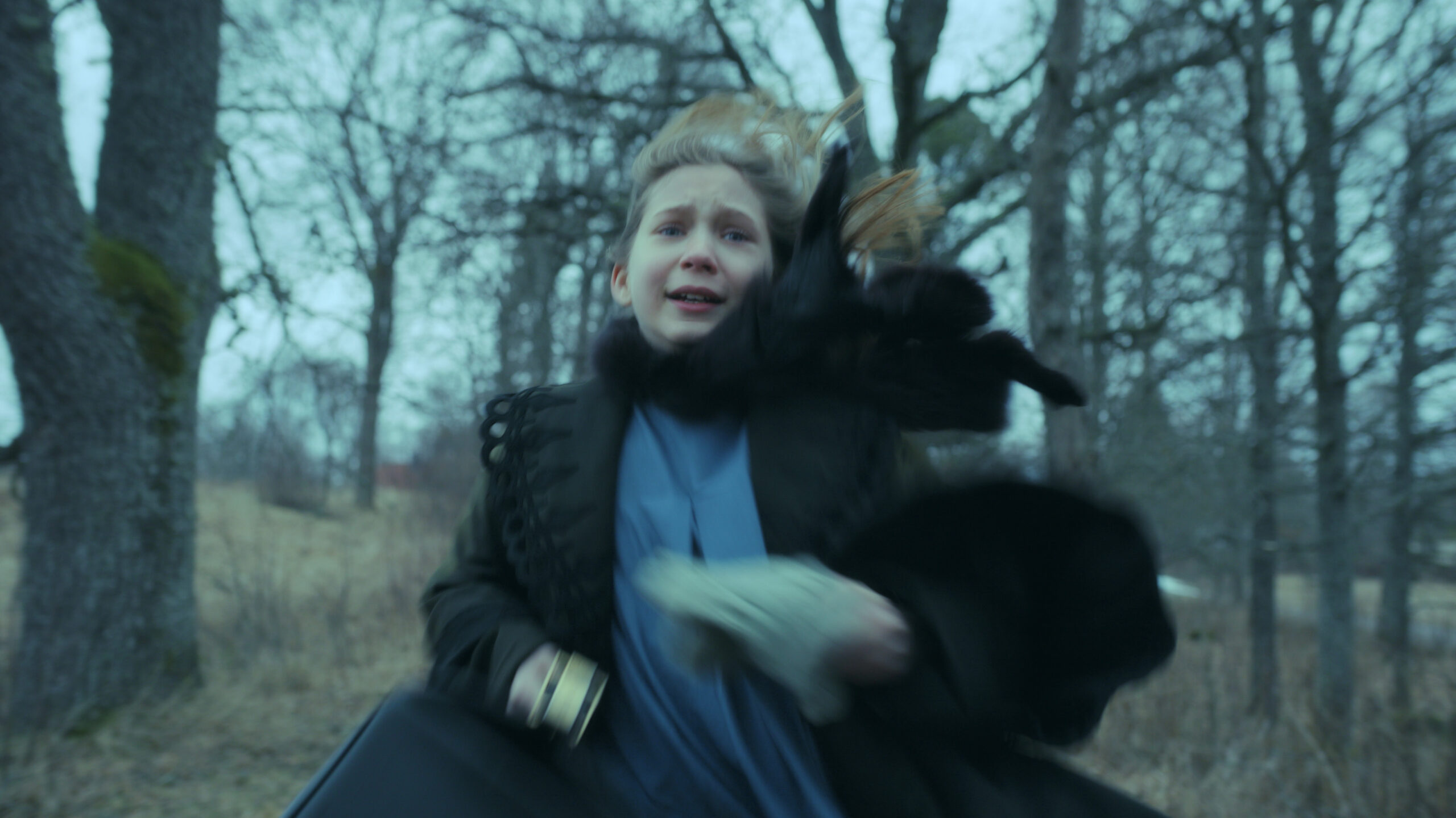 Raspberry Hill - Aurora Studios